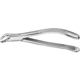TOOTH FORCEPS AMERICAN PATTERN #151S